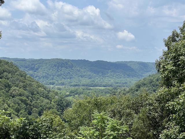 53 Celina, TN Homes For Sale & Real Estate - Movoto