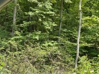 6800 Pinewood Meadows Ln, Nunnelly, TN 37137 | 2 Photos - Movoto