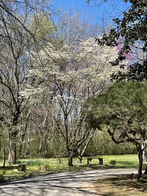 111 Moore Ln, New Johnsonville, TN 37134 | 41 Photos - Movoto