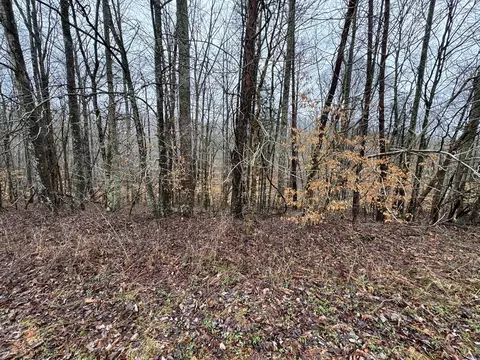 13 Ralph Spivey Ln, Gainesboro, TN 38562 | 7 Photos - Movoto