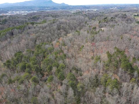 19 76 Ac Ridge Rd, Pigeon Forge, TN 37863 | 10 Photos - Movoto