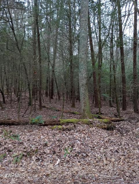 Thomas Cemetary Rd, Pikeville, TN 37367 | 8 Photos | MLS #1215199 - Movoto