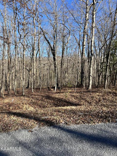 127 Hunterwood Ln, Crossville, TN 38558 | MLS# 1216394 | 1 photo - Movoto