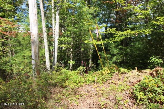 Saddle Ridge, Walland, TN Real Estate & Saddle Ridge Homes For Sale ...