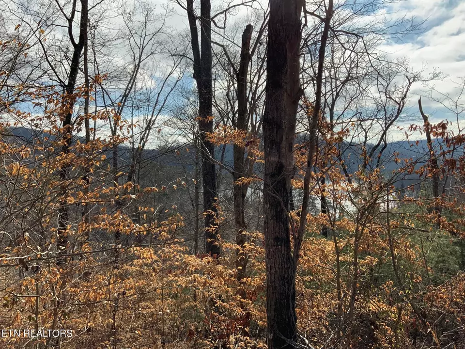 168 Pearl Point, Sharps Chapel, TN 37866 | 11 Photos - Movoto