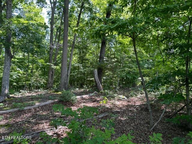 000 Lamplighter Way, Newport, TN 37821 - Movoto