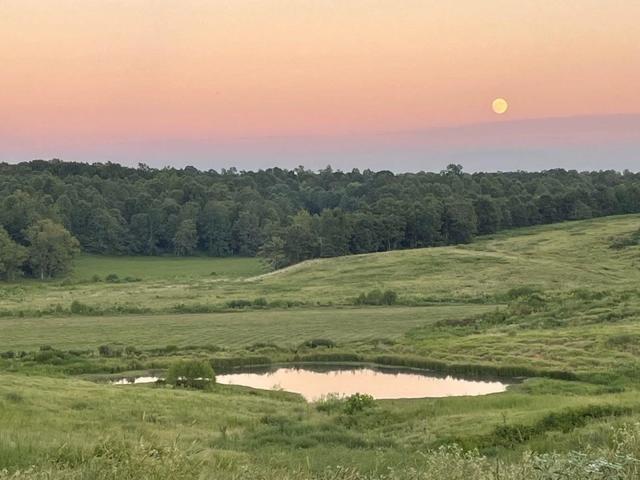 Toone, TN Homes with Barn For Sale - Movoto