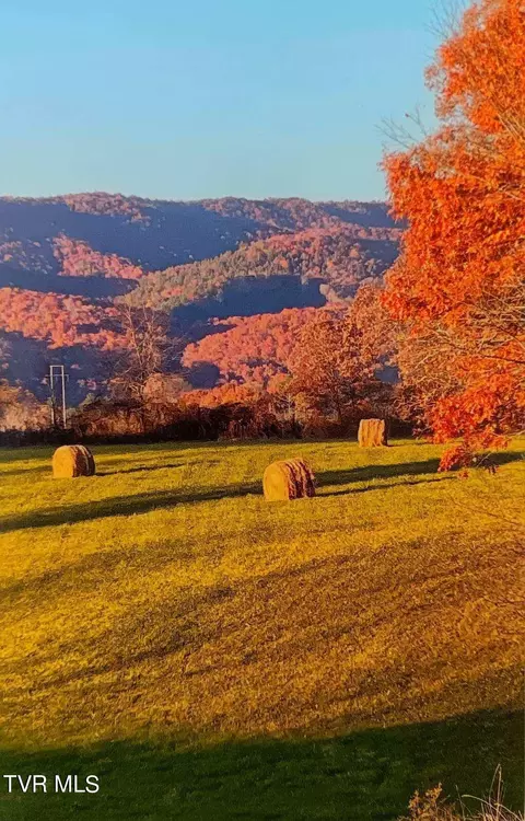 1319 Reece Hill Road Mountain City Tn 37683, Mountain City, TN 37683 ...