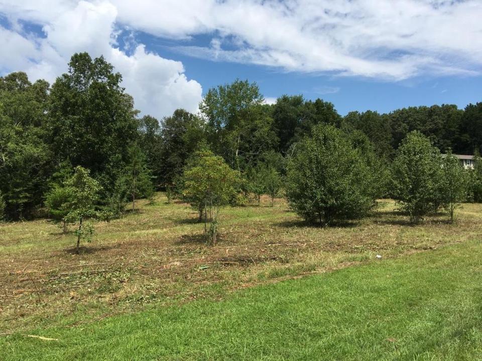 0 Dolly Pond Rd, Harrison, TN 37341 - Movoto