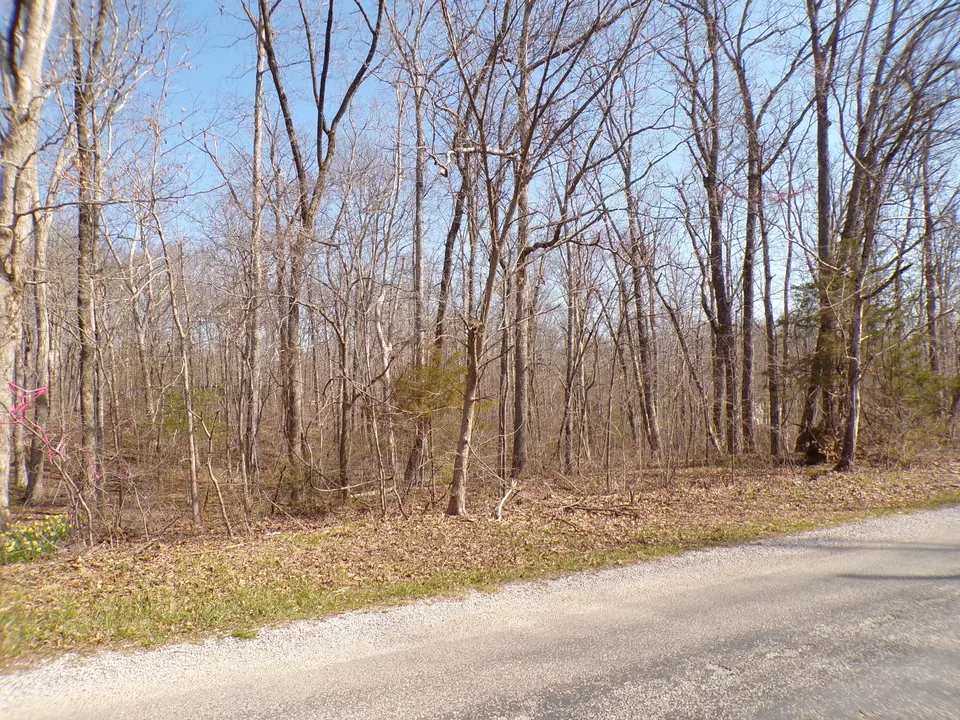 0 Timothy Dr #235, Crossville, TN 38572 | 27 Photos - Movoto