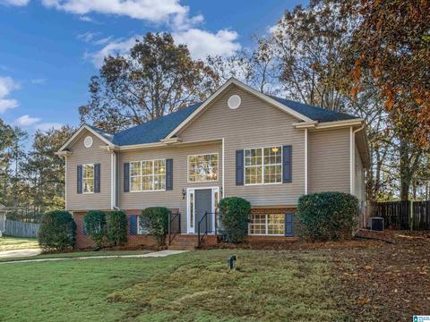 190 Chelsea Homes for Sale - Chelsea AL Real Estate - Movoto