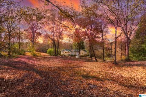 1215 Old Downing Mill Rd, Anniston, AL 36207 | 28 Photos | MLS #752642 ...