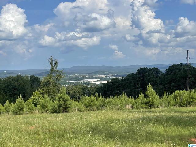 900 Greenbrier Dear Rd, Anniston, AL 36207 | 100 Photos - Movoto