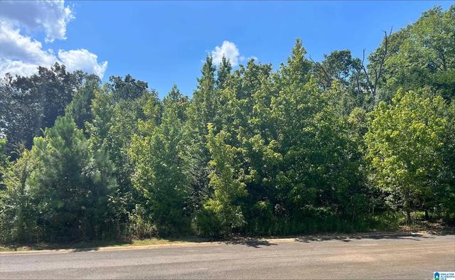 Legacy Springs, Springville, AL real estate & homes for Sale - Movoto