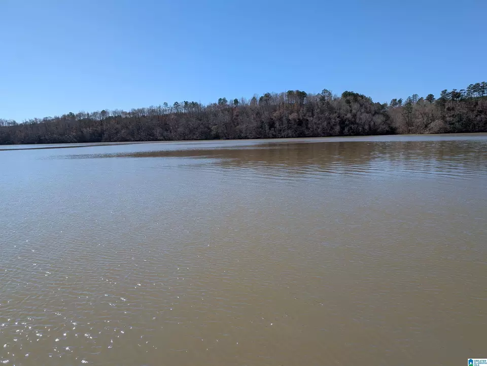 136 Steep Hill Rd, Adger, AL 35006 | MLS# 21409921 | 33 Photos - Movoto