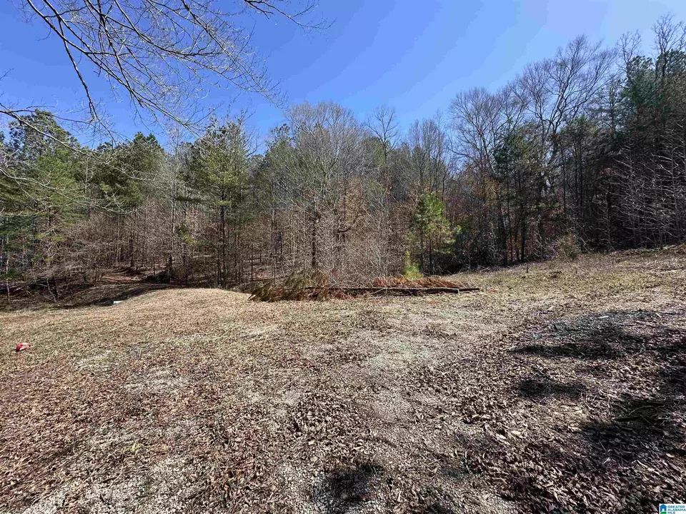 3350 Johnson Rd #24, Adger, AL 35006 | MLS# 21411976 | 24 Photos - Movoto