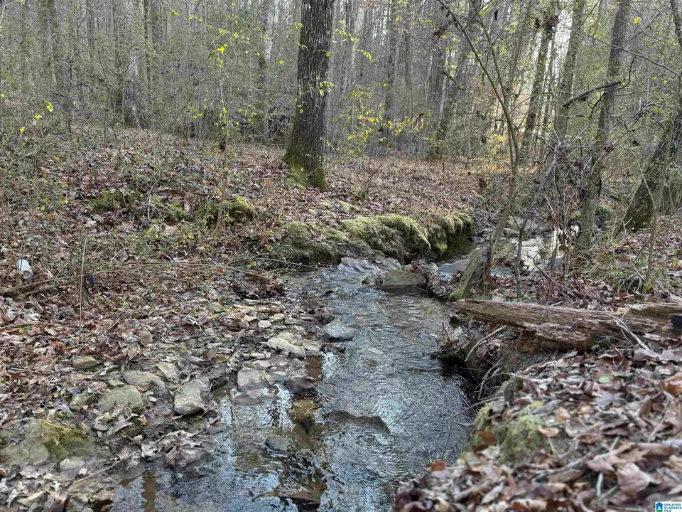 4115 Humber Rd #1, Dora, AL 35062 | MLS# 21441181 | 4 Photos - Movoto