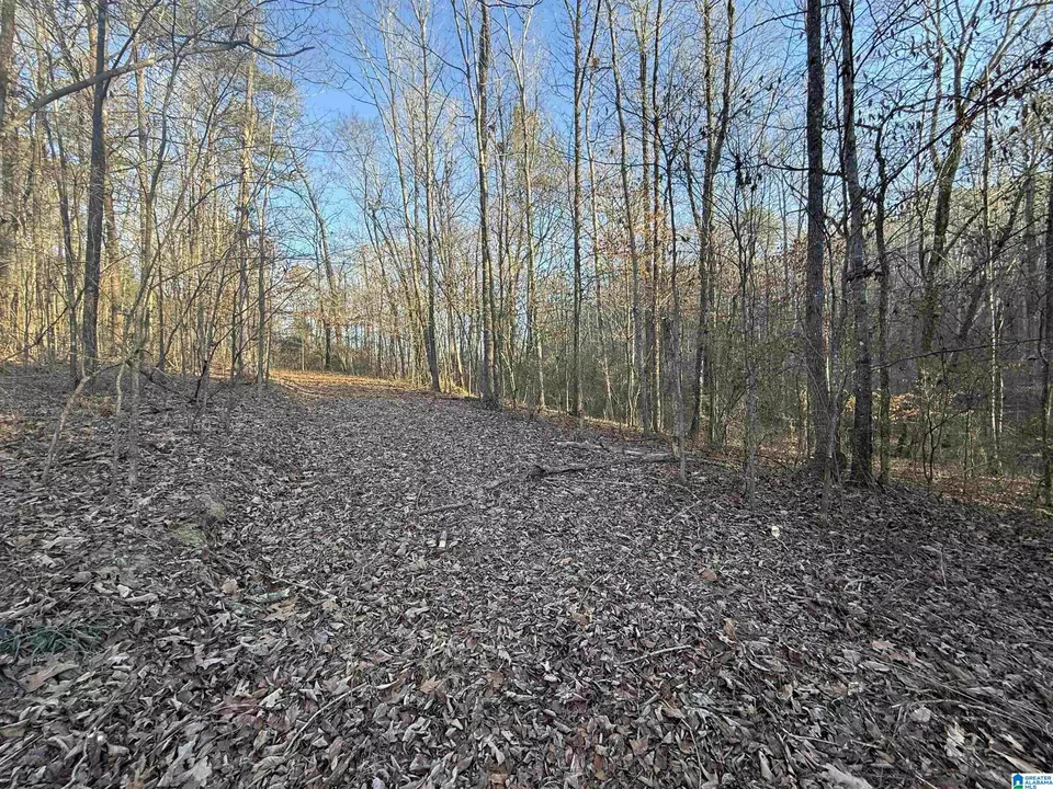 4115 Humber Rd #1, Dora, AL 35062 | MLS# 21441181 | 4 Photos - Movoto