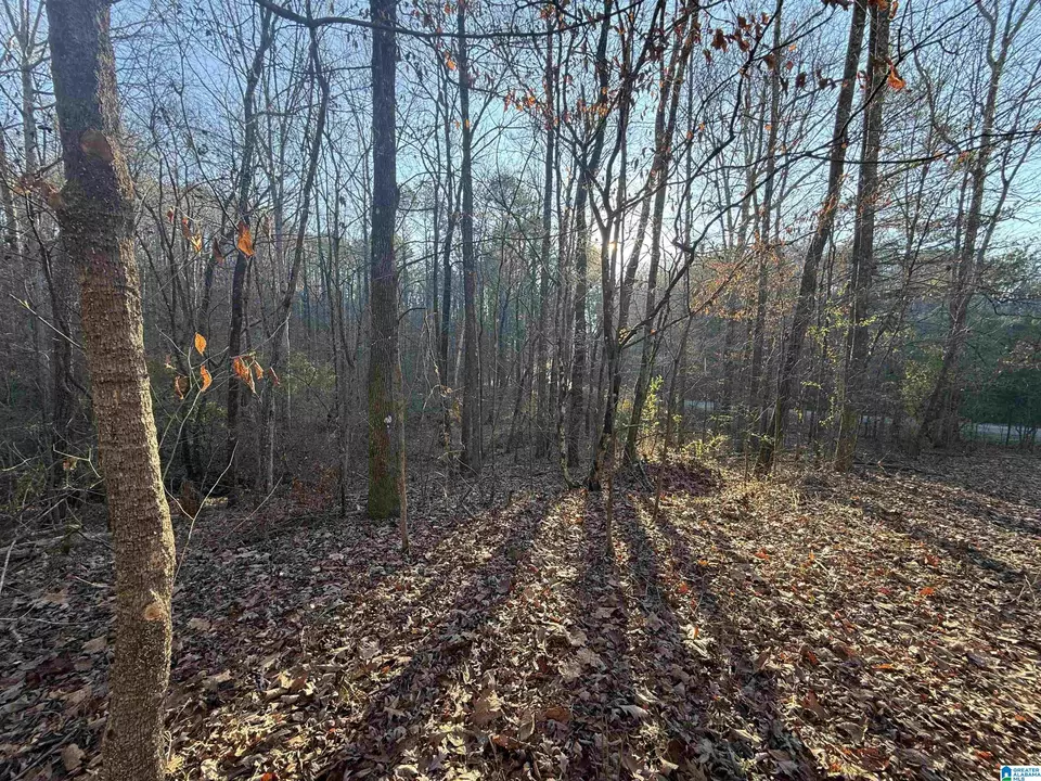 4115 Humber Rd #1, Dora, AL 35062 | MLS# 21441181 | 4 Photos - Movoto