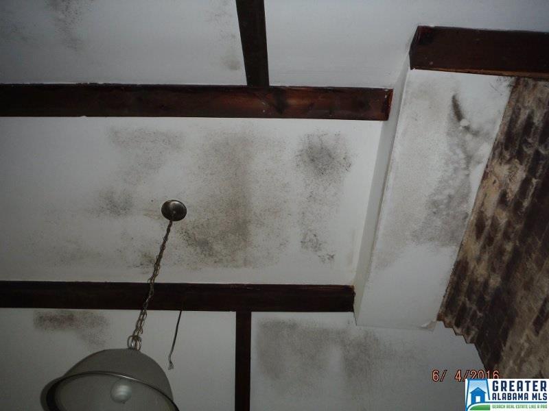 1215 Old Downing Mill Rd, Anniston, AL 36207 | 28 Photos | MLS #752642 ...