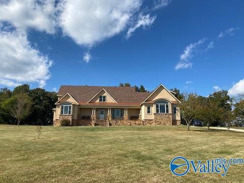 190 Overlook Dr, Section, AL 35771 | 29 Photos | MLS #1821866 - Movoto