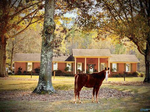 293 Decatur Homes for Sale - Decatur AL Real Estate - Movoto