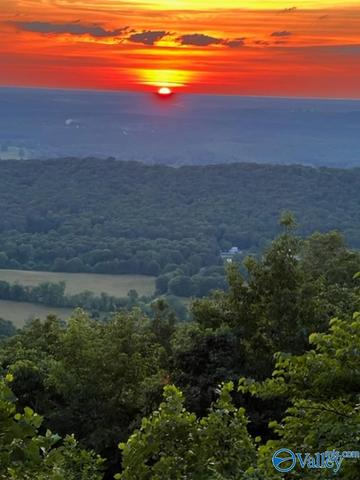 56 Mentone Homes For Sale & Mentone, AL Real Estate - Movoto