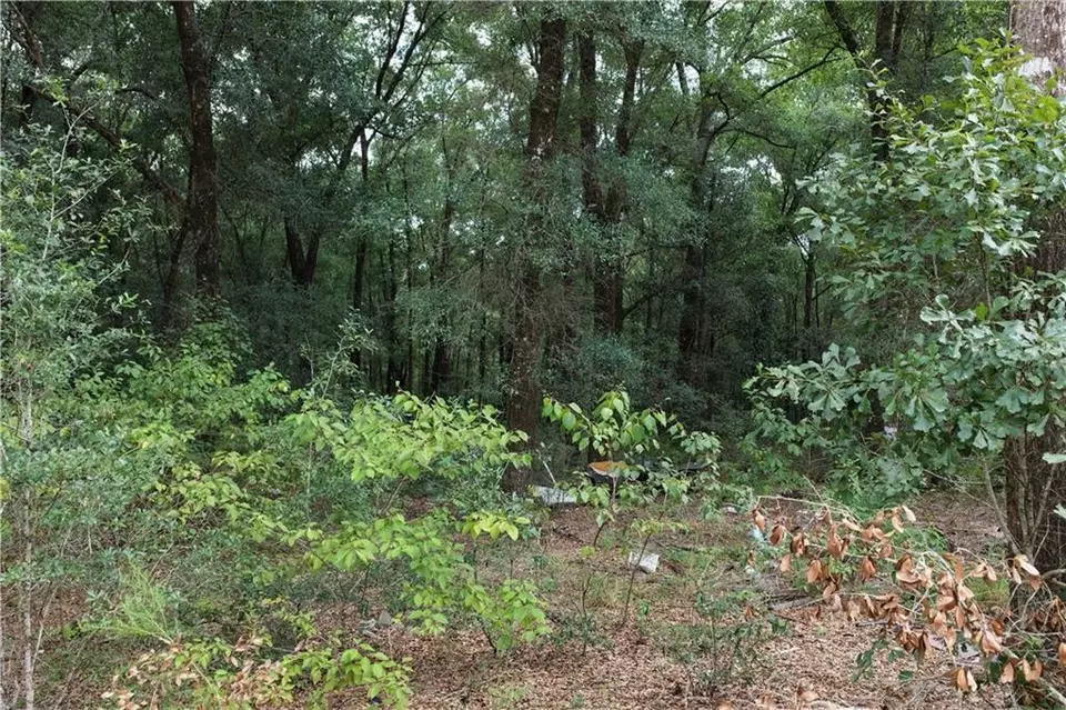 8990 Miller Branch Ln, Chunchula, AL 36521 | MLS# 7689185 | 11 Photos ...