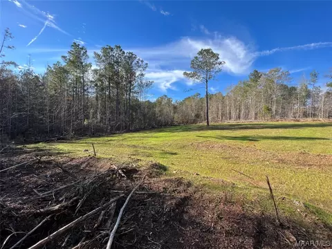 6500 County Road 19 Rd, Letohatchee, AL 36047 - Movoto