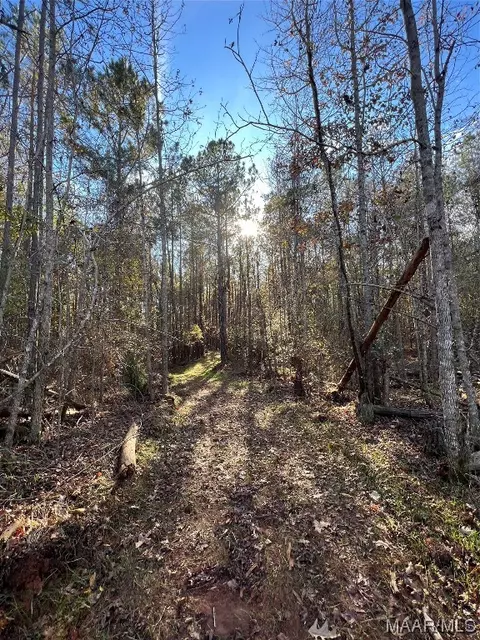 6500 County Road 19 Rd, Letohatchee, AL 36047 - Movoto