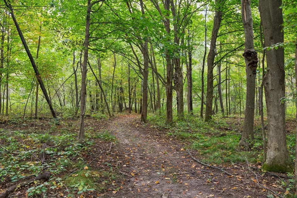 n8405 510th Street, Spring Valley, WI 54767 | MLS# 6792160 | 30 Photos ...