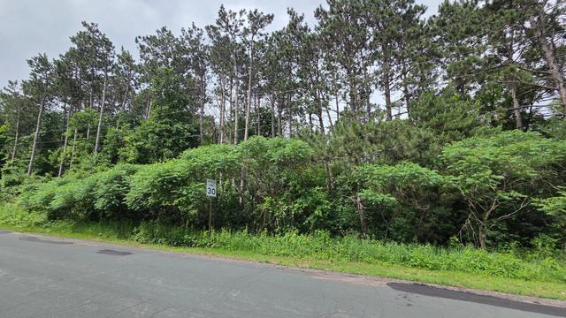 195 Andover Homes For Sale & Andover, MN Real Estate - Movoto