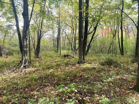 Hwy 21, Redgranite, WI 54970 - Movoto.com