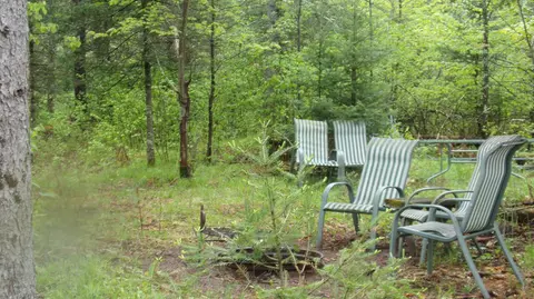 1022 Peshtigo Riv, Blackwell, WI 54541 | 9 Photos - Movoto