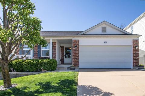 982 Providence Way, Herculaneum, MO 63048 | 55 Photos | MLS #23020617 ...