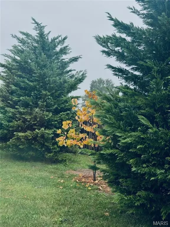 1904 Eden Way, Cape Girardeau, MO 63701 | MLS# 26001929 | 4 Photos - Movoto