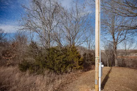 Lot 203 Lone Oak Drive, Cape Fair, MO 65624 | 10 Photos - Movoto