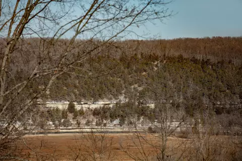 Lot 203 Lone Oak Drive, Cape Fair, MO 65624 | 10 Photos - Movoto