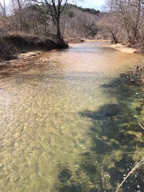 38205 County Road Ee-270, Vanzant, MO 65768 | 42 Photos - Movoto