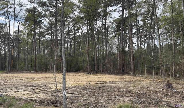 Lot B3 Reinninger Rd, Denham Springs, LA 70706 | 3 Photos - Movoto