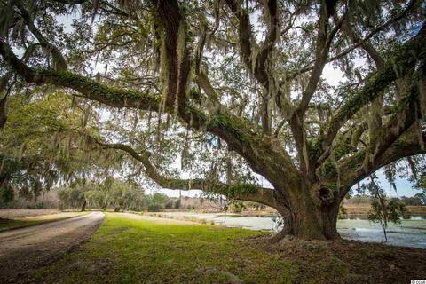 Airy Hall Plantation, Green Pond, SC 29446 - Movoto