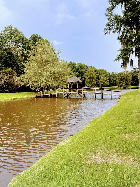 159 Manning Homes for Sale - Manning SC Real Estate - Movoto