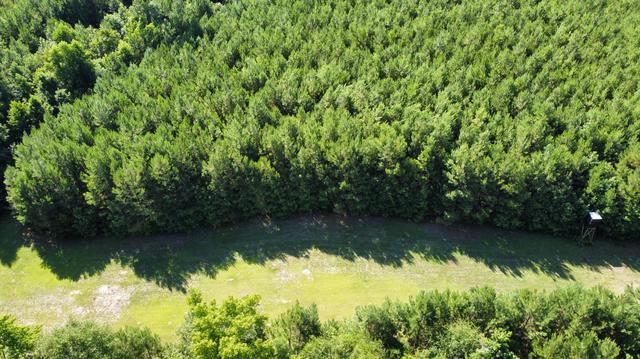 0 Tupperware Rd, Hemingway, SC 29554 | 11 Photos - Movoto