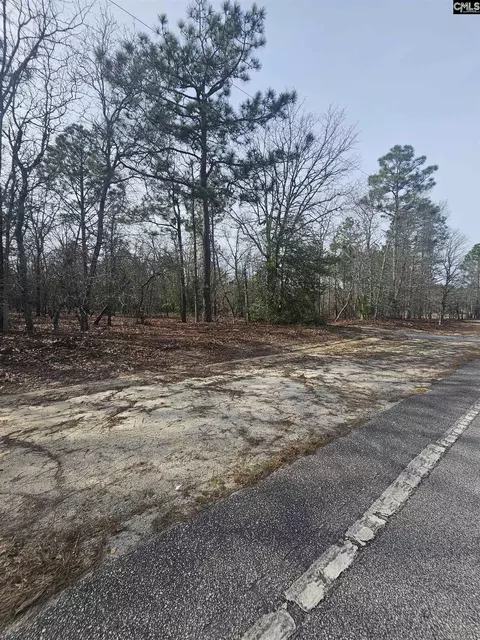 2307 E Old Georgetown Rd E, Bethune, SC 29009 | 85 Photos - Movoto