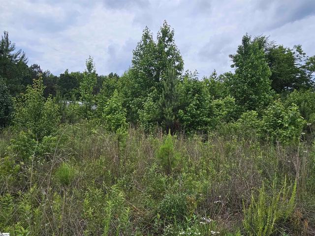 144 Colleton Dr, Clinton, SC 29325 | MLS# 1595379 | 2 Photos - Movoto