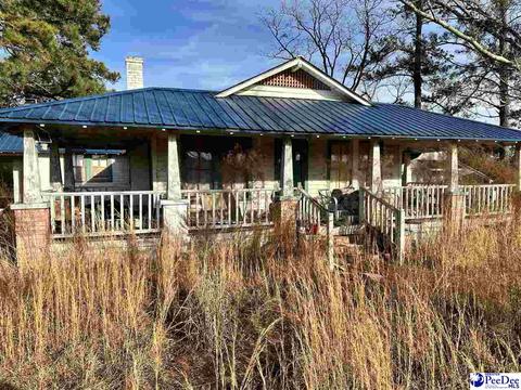 4802 N Old Georgetown Rd, Coward, SC 29530 | 1 photo | MLS #20231593 ...