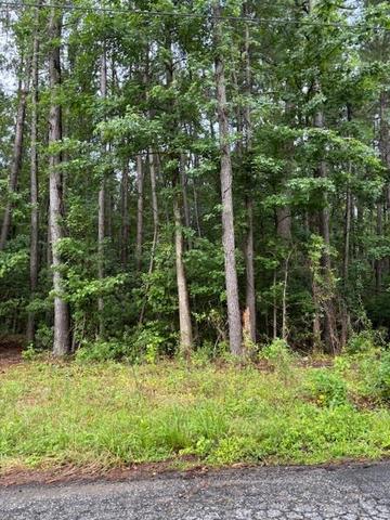 222 Wilson St, Sumter, SC 29150 | MLS# 170146 | 4 Photos - Movoto