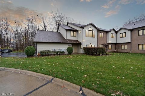 7293 Village Dr, Mentor, OH 44060 | 25 Photos | MLS #4423026 - Movoto