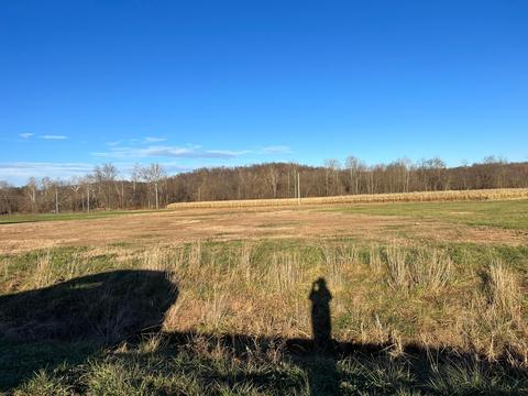 736 Colby Way, Newark, OH 43055 | 3 Photos | MLS #222042701 - Movoto