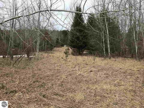 20 Acres Cook Rd, Williamsburg, MI 49690 - Movoto